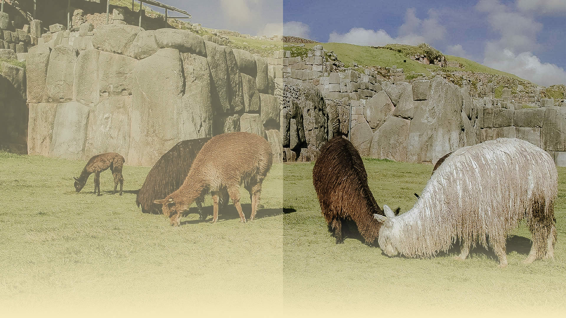 Cusco 4 Travel – Peru Travel Agency & Tour Operator – Cusco – Machu ...